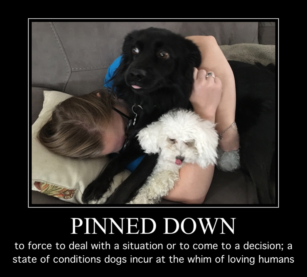 Zoe Meme #73: Pinned Down | Walking Through This Together