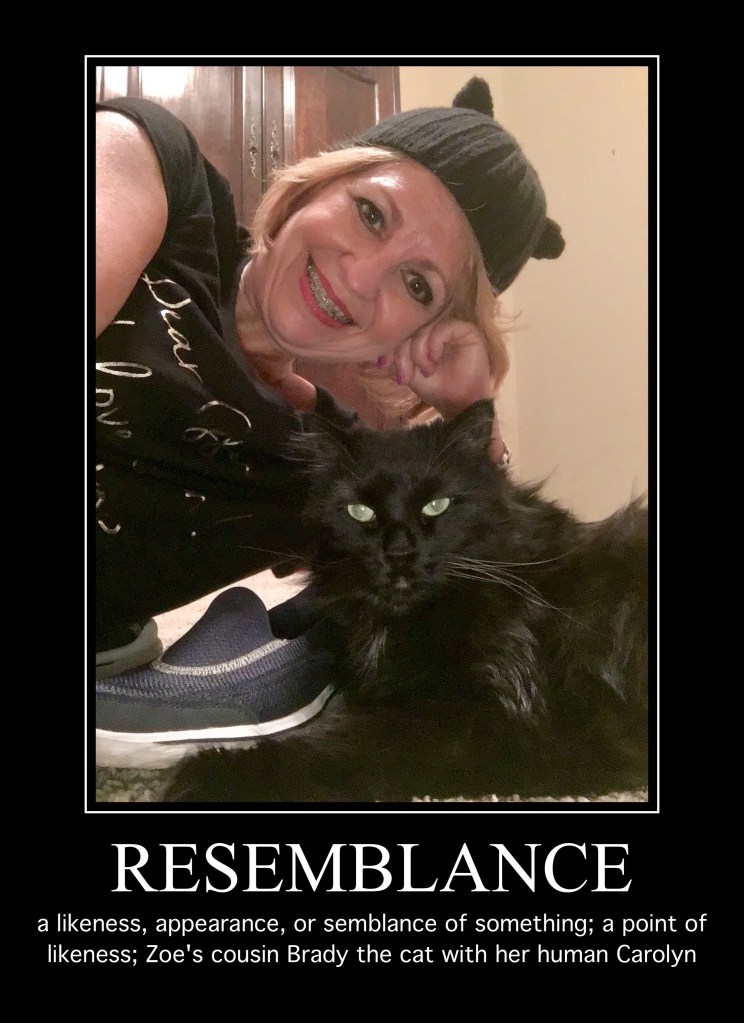 Zoe Meme #116: Resemblance | Walking Through This Together